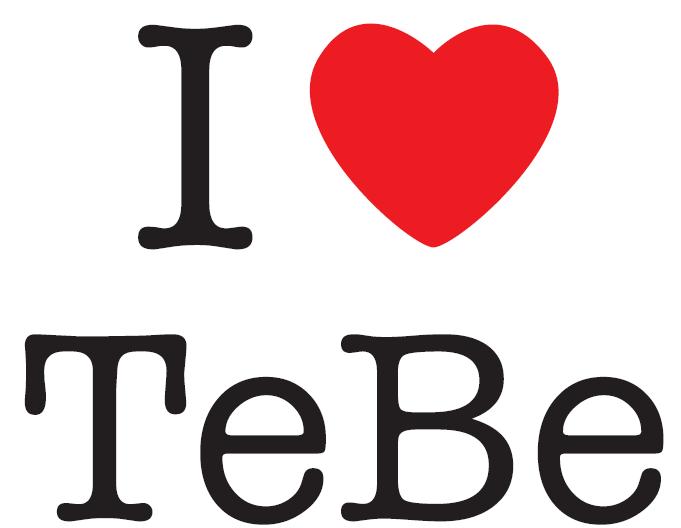 TeBe-Wirtschaftsclub 2010/2011 – Tennis Borussia Berlin